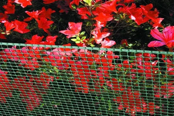 Сетки Tenax --- [current]